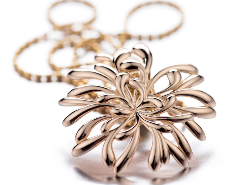 Brilliant! - koru - valokuva - ääni Kansallismuseossa | Amusa.fi